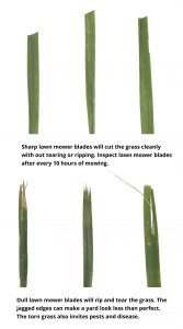 Dump the Dull Blades - USA Mower Blades