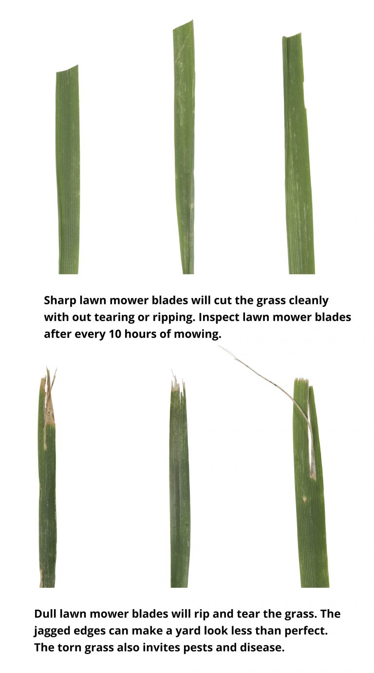 Dump the Dull Blades - USA Mower Blades